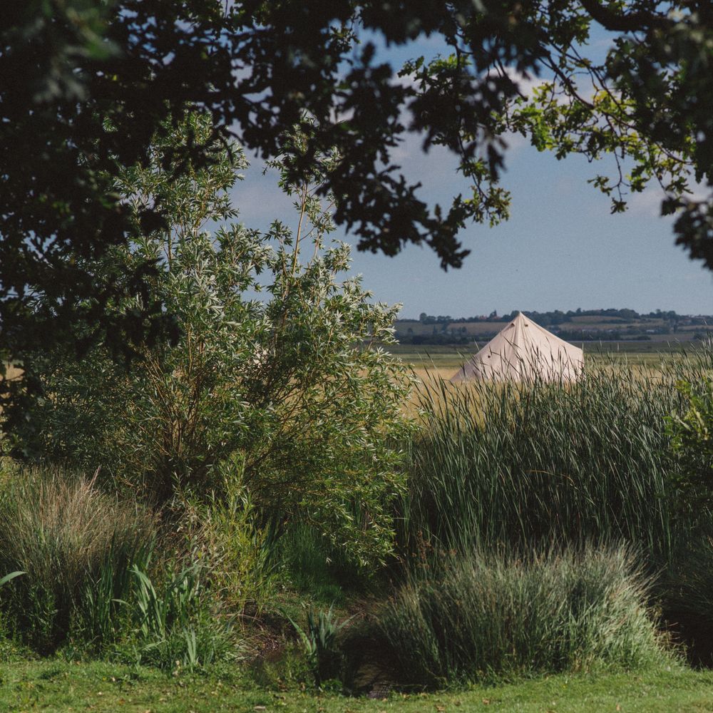 Elmley Nature Reserve